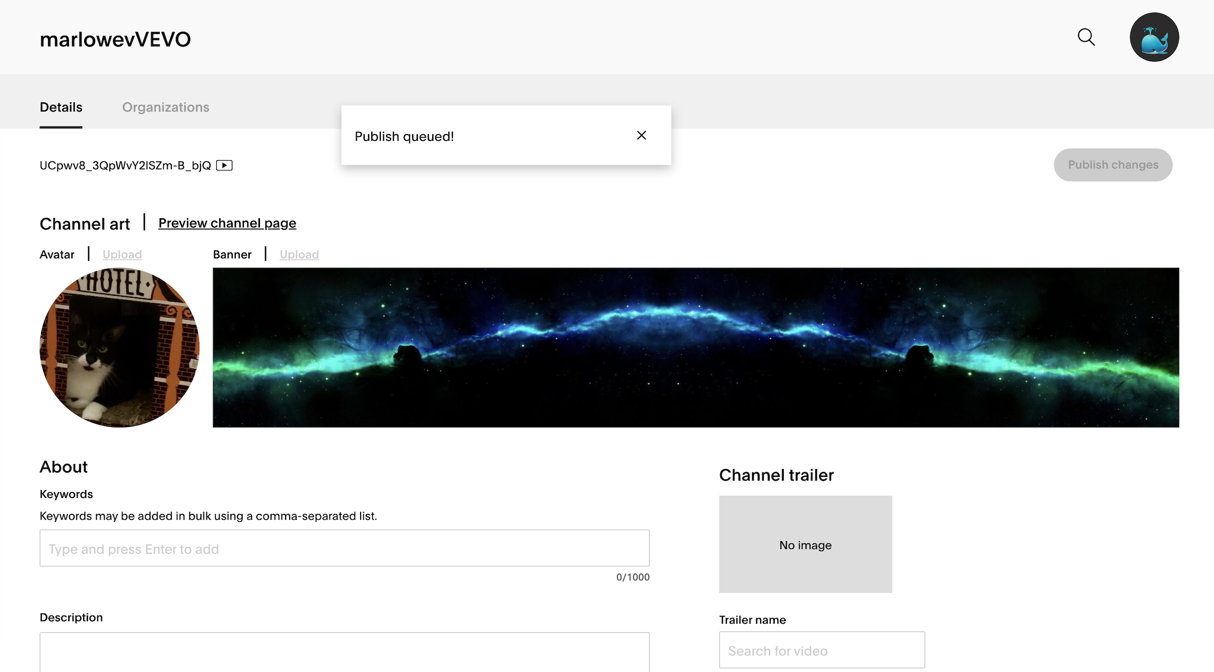 How to Update Channel Avatar – Vevo