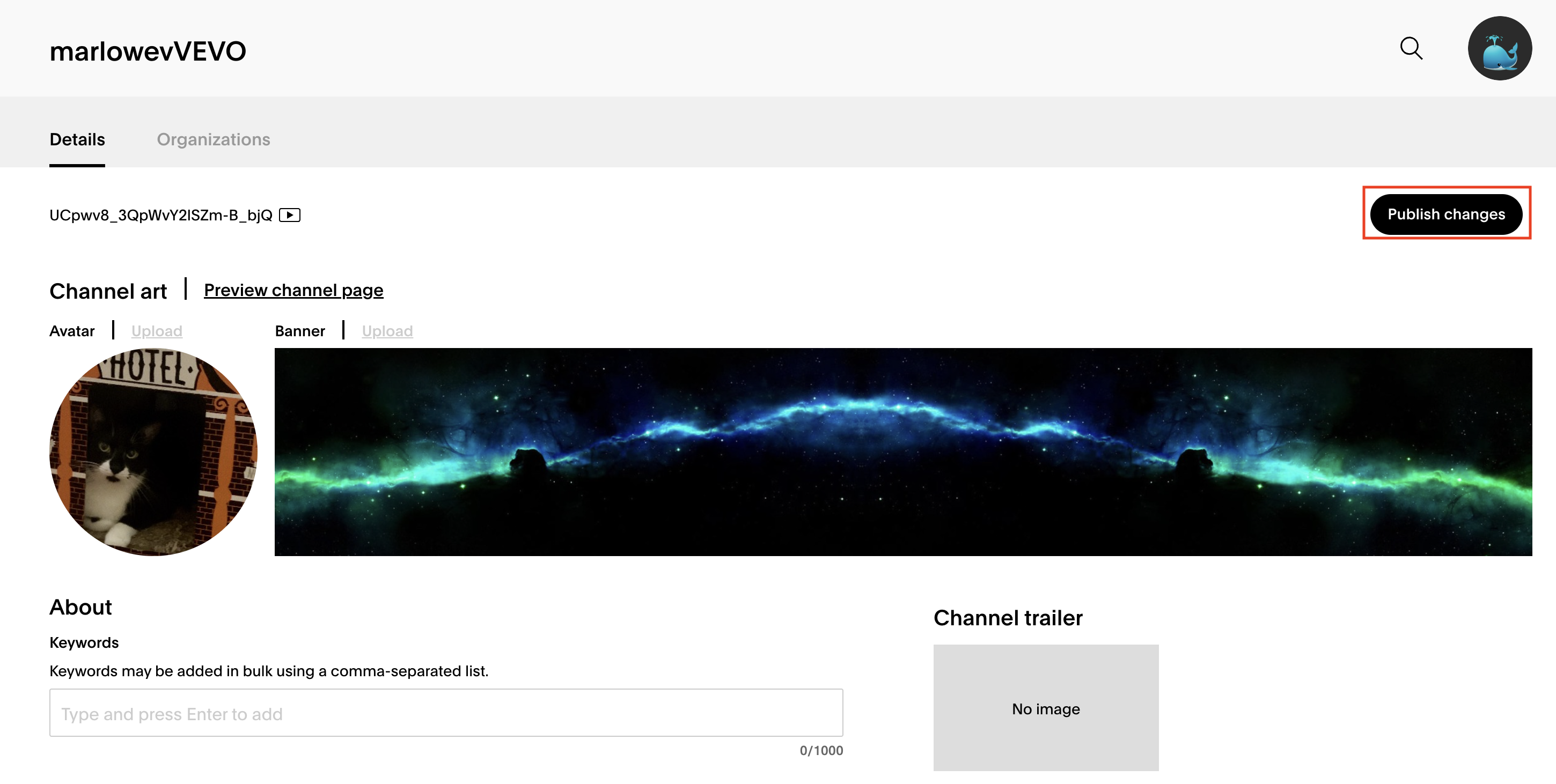 How to Update Channel Avatar – Vevo